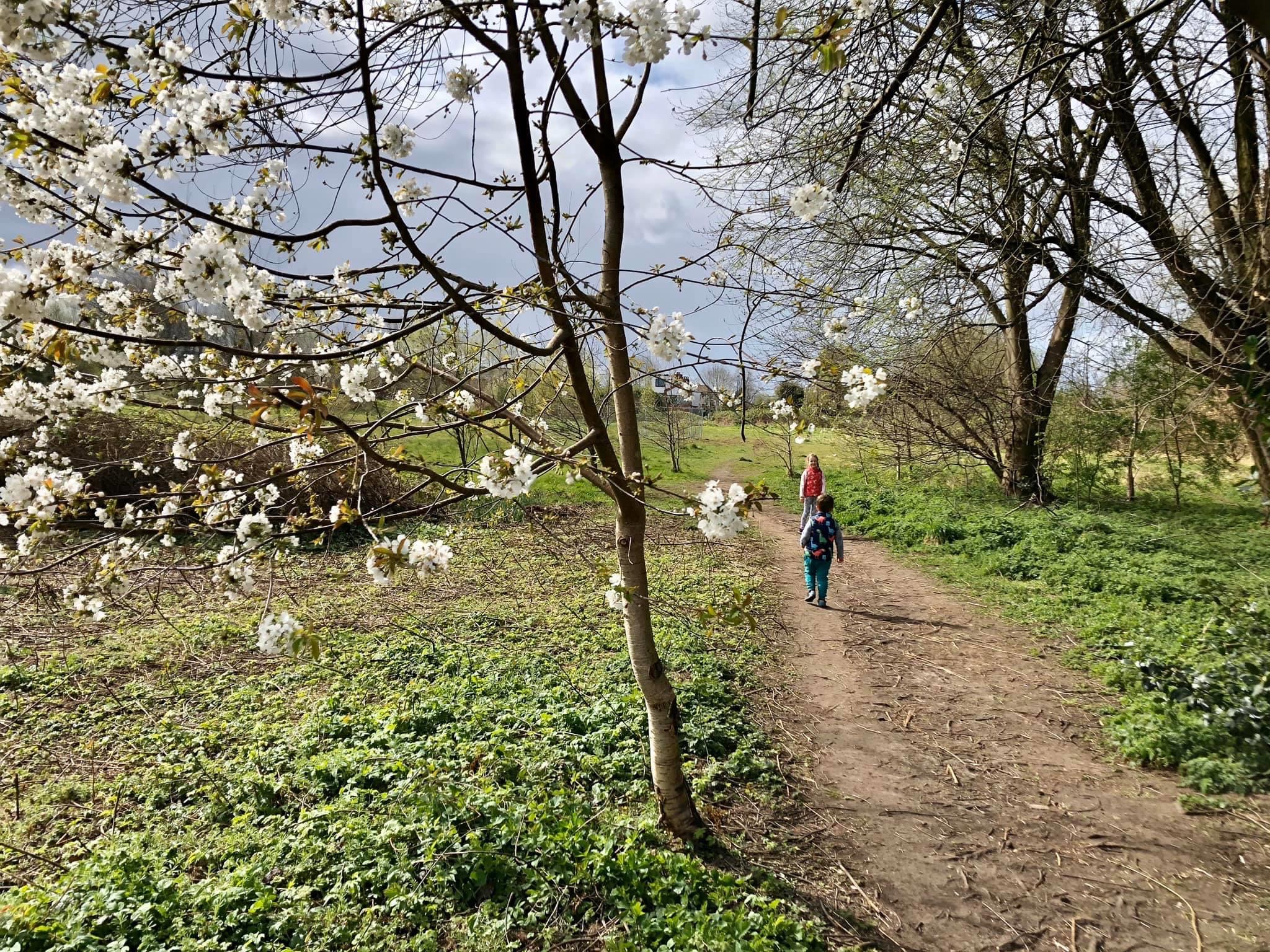 SAVE RYEBANK FIELDS - SAVE RYEBANK FIELDS