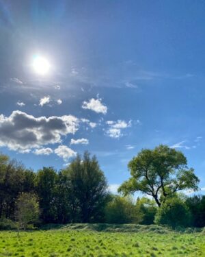 SAVE RYEBANK FIELDS - SAVE RYEBANK FIELDS