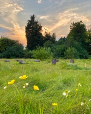SAVE RYEBANK FIELDS - SAVE RYEBANK FIELDS