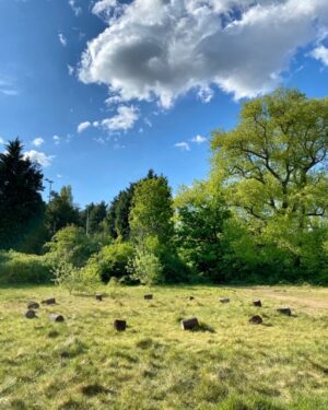 SAVE RYEBANK FIELDS - SAVE RYEBANK FIELDS