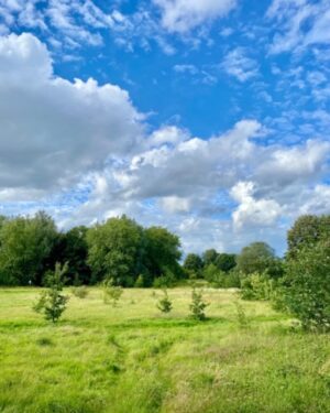 SAVE RYEBANK FIELDS - SAVE RYEBANK FIELDS
