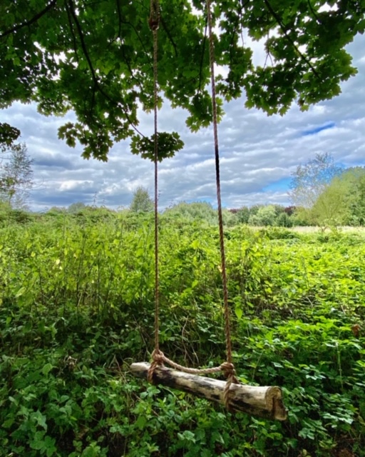 SAVE RYEBANK FIELDS - SAVE RYEBANK FIELDS