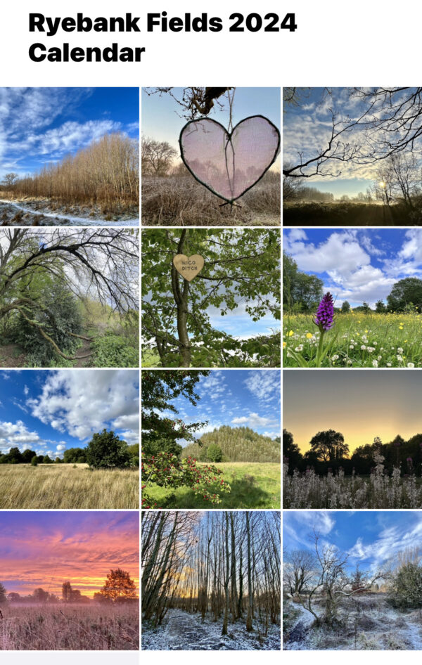 SAVE RYEBANK FIELDS - SAVE RYEBANK FIELDS